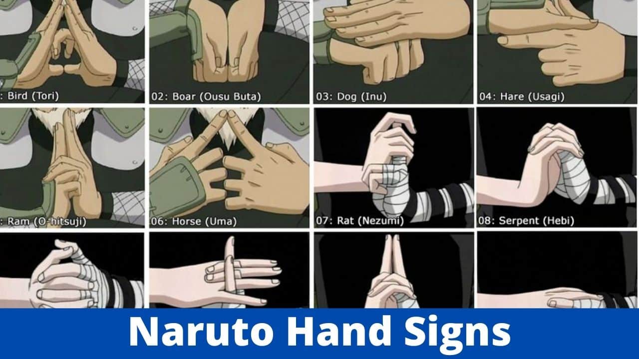 All Naruto Hand Signs & Seals: Meanings & How-To Guide